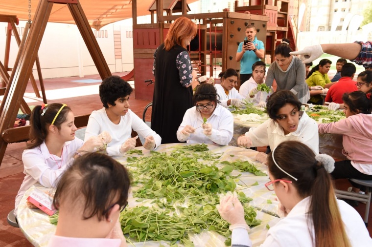 Senior School – Rashid Center for People of Determination